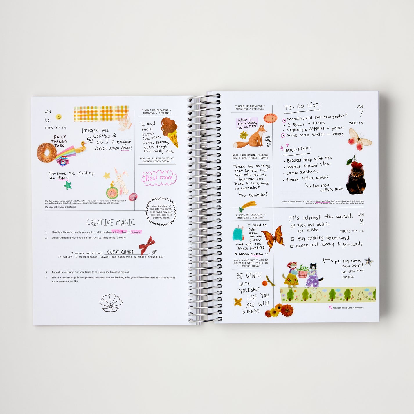 CHANI 2026 Astro Planner: An astrology & mindfulness planner with ...