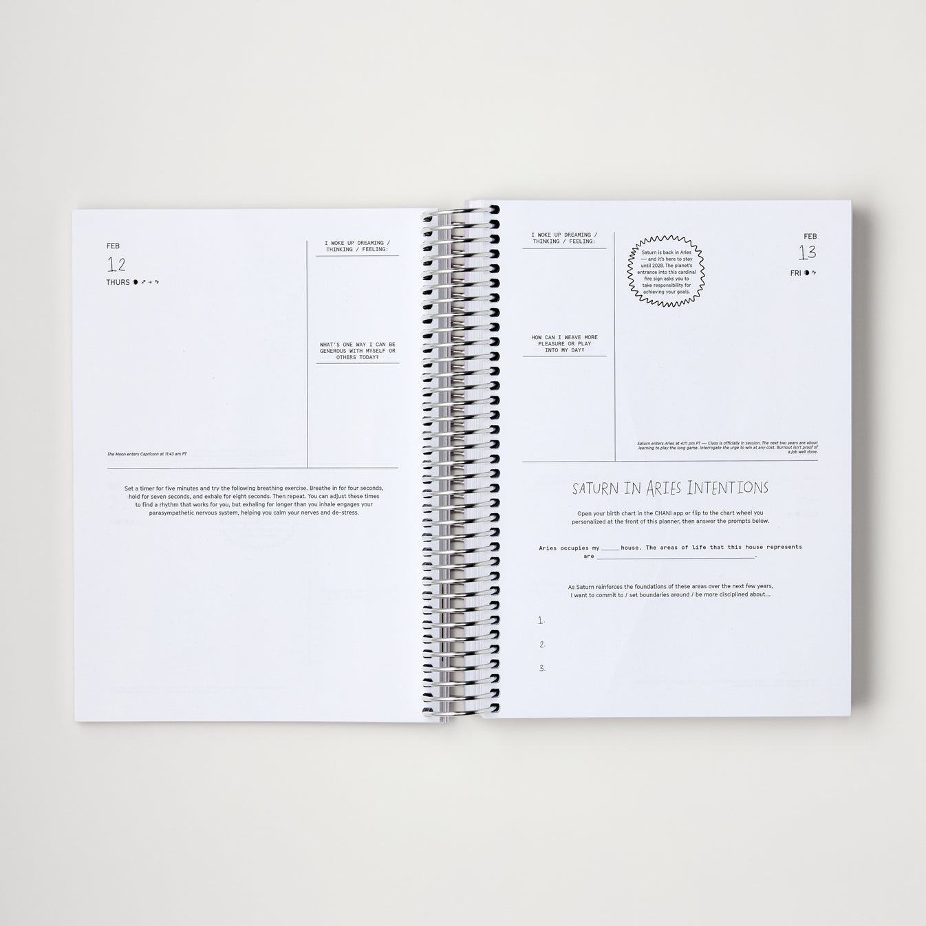 CHANI 2026 Astro Planner: An astrology & mindfulness planner with ...