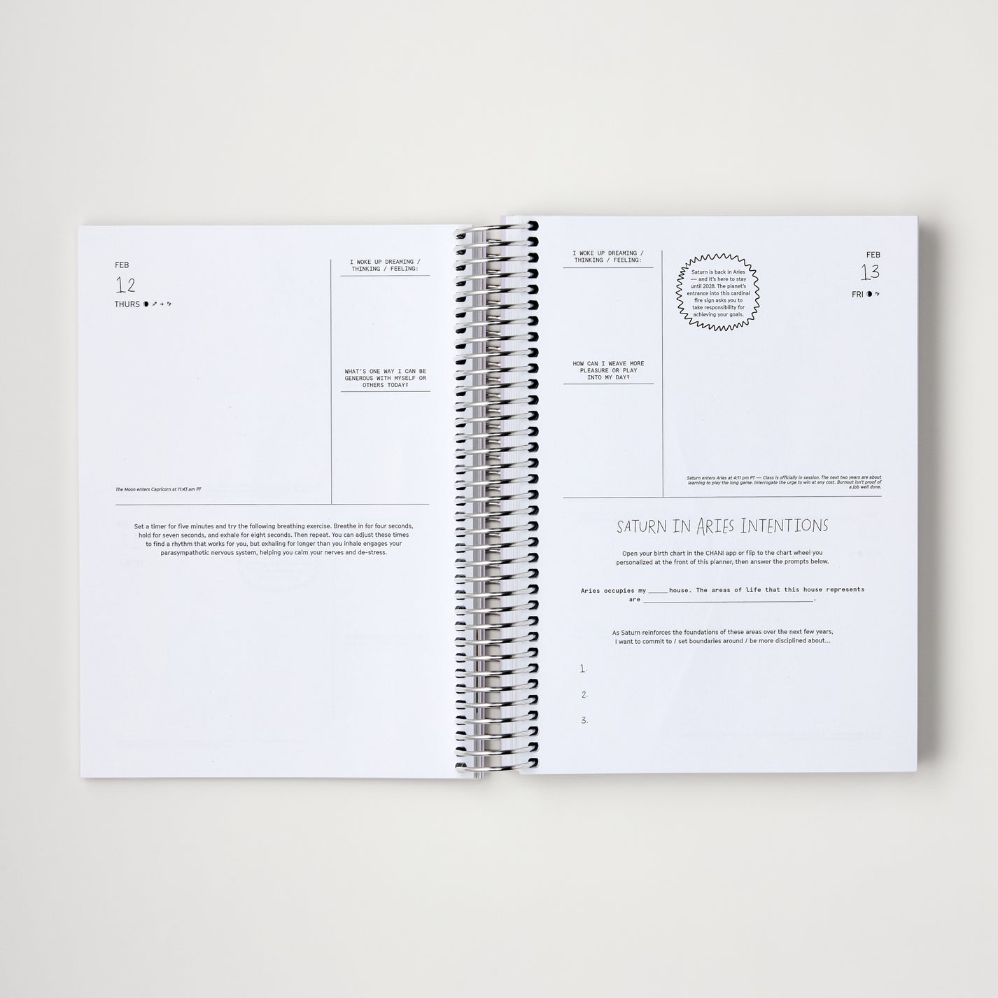 CHANI 2026 Astro Planner: An astrology & mindfulness planner with ...