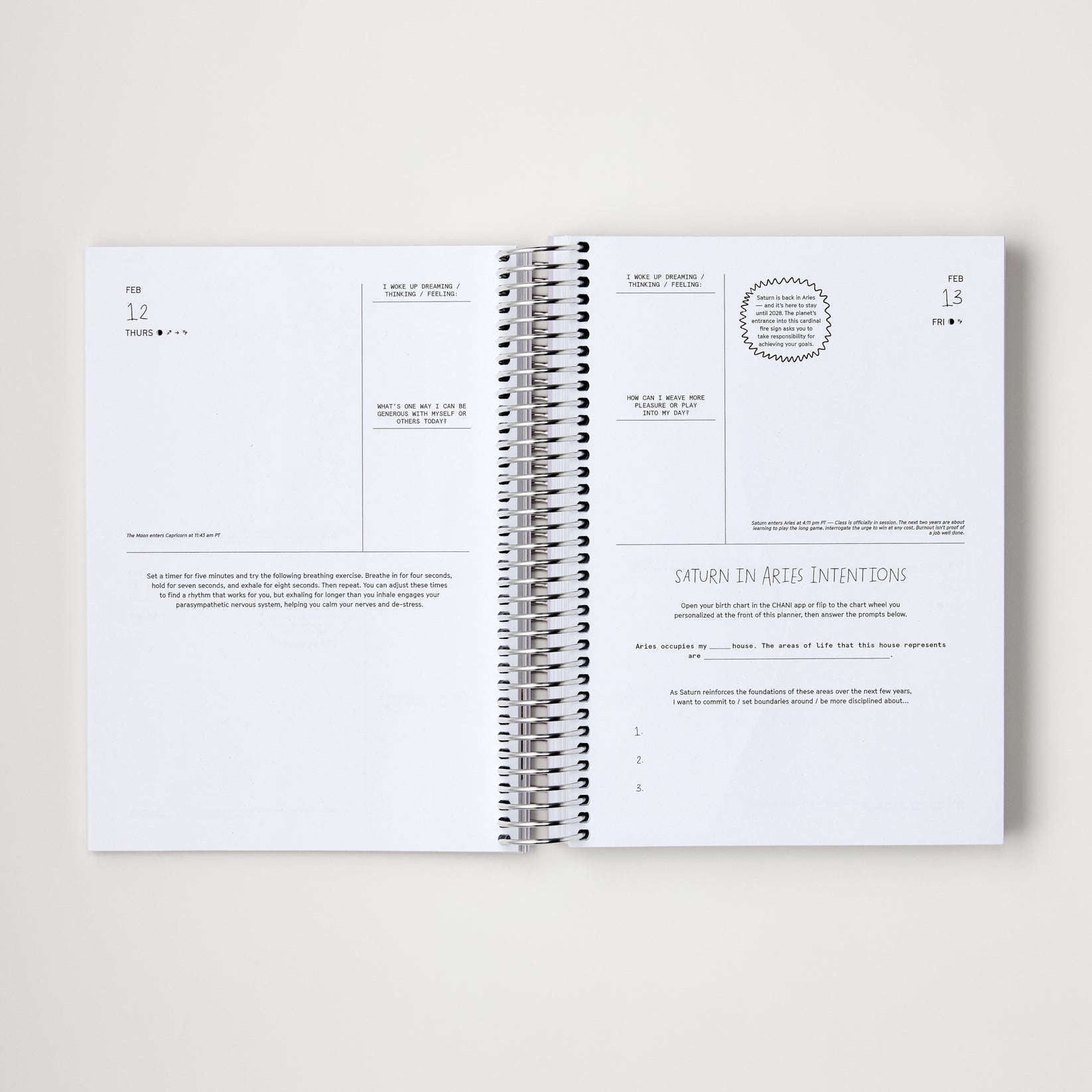 CHANI 2026 Astro Planner: An astrology & mindfulness planner with ...
